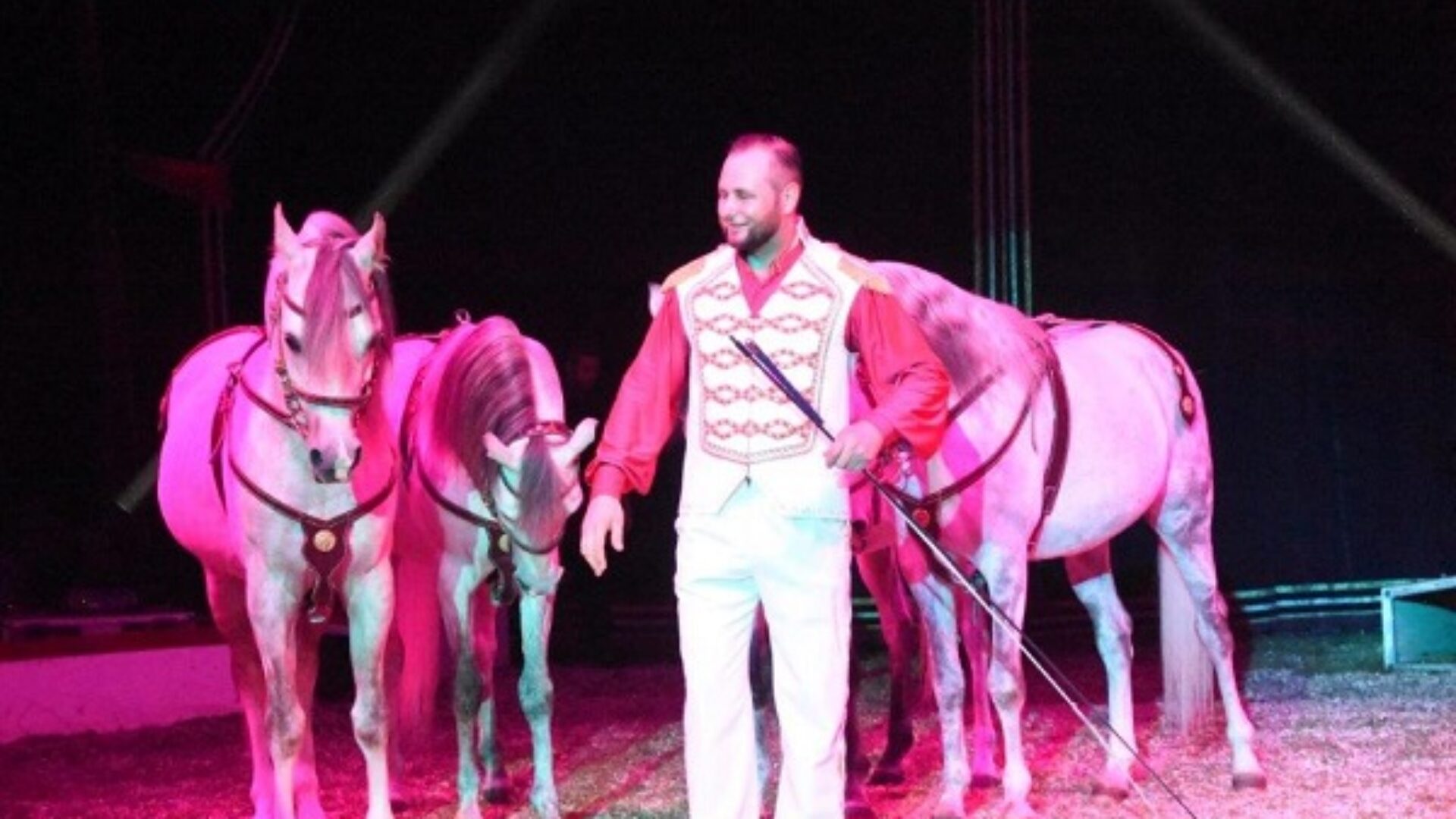 Circus Renz International komt naar Bergen op Zoom