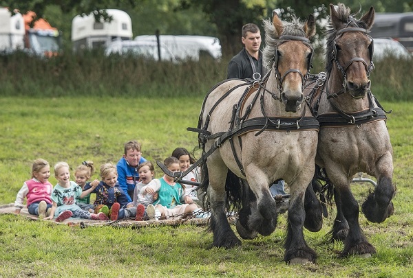 Dit is er te doen in de regio: week 36