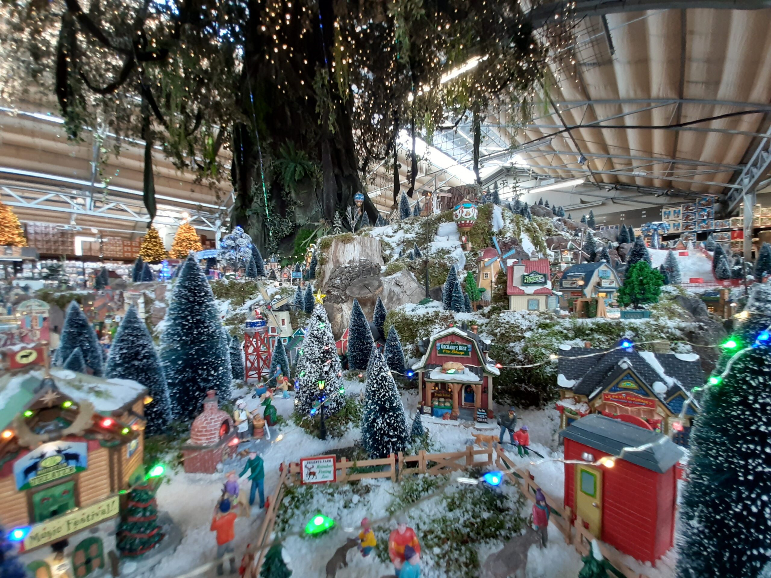 Een vroegere kerst bij Intratuin in Halsteren