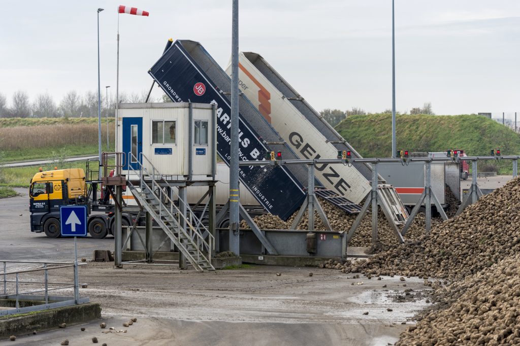 Bietencampagne gestart bij suikerbietenfabriek in Dinteloord