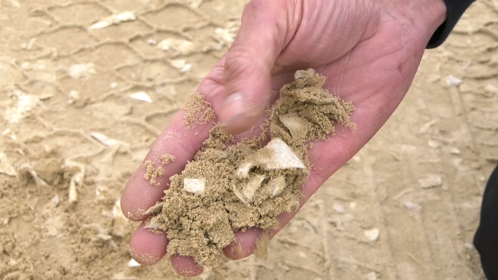 Concours Hippique lijkt bij voorbaat een succes dankzij speciale zandbodem