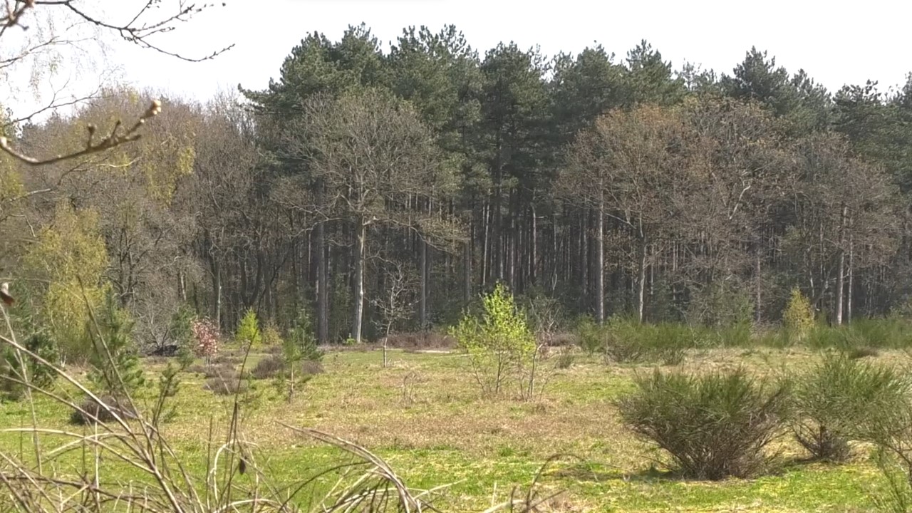 Bergen op Zoom ziet voortaan toch af van ontploffende explosieven aan ...