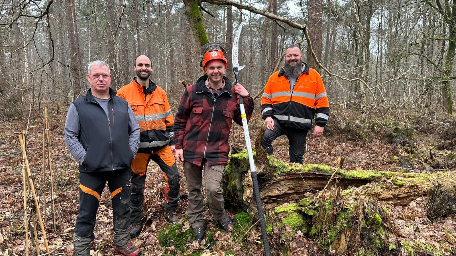 Bomenkap moet zorgen voor meer diversiteit in bos: 'Toekomst verbeteren'