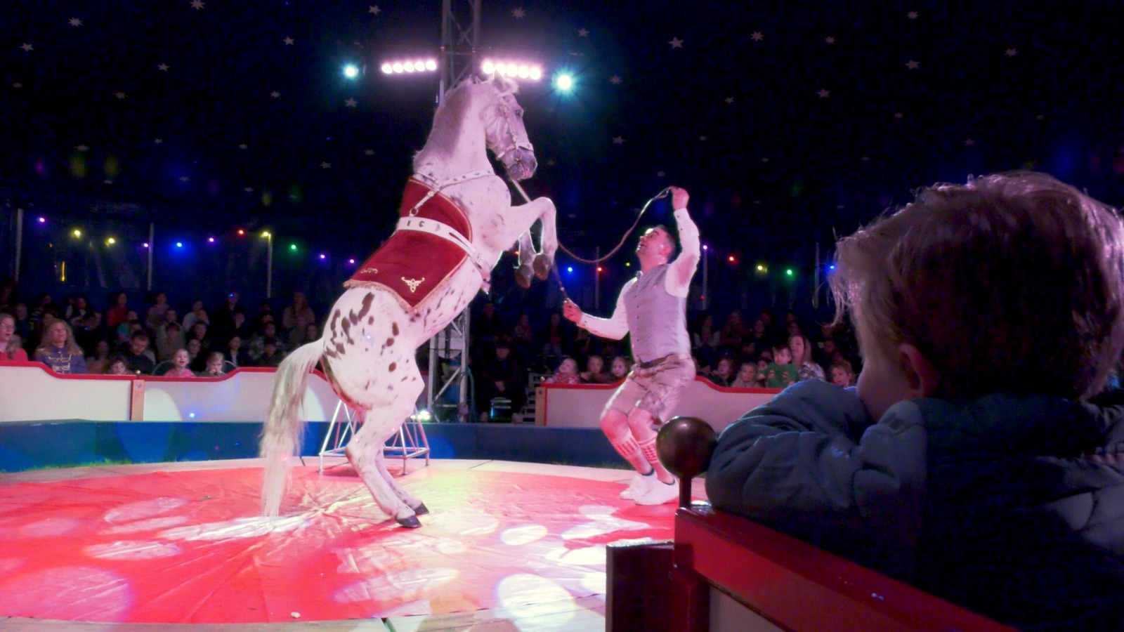 LPS viert 30-jarig jubileum met circus voor alle leerlingen