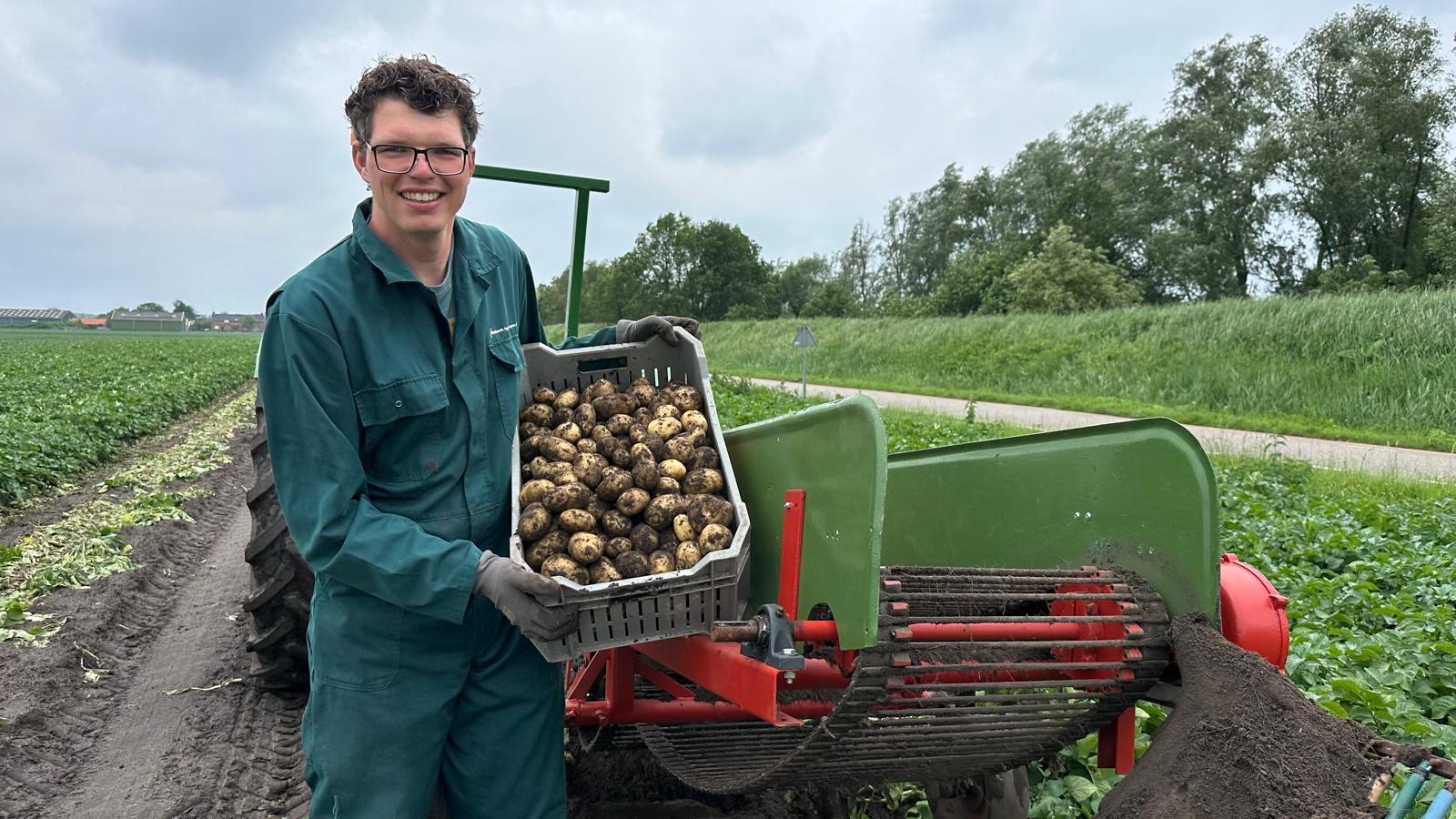 Ondanks vele regenval nu al nieuwe aardappelen in Moerstraten
