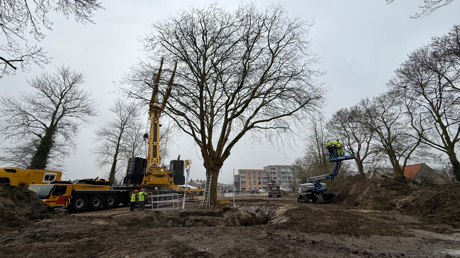 Oude boom schuift honderd meter op: 'Hier hebben generaties kinderen ...